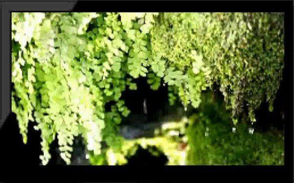 Manufacturers – dbx-tv